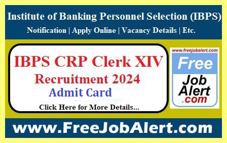 IBPS CRP Clerk XIV Admit Card 2024 - Online Preliminary Exam Call Letter Download